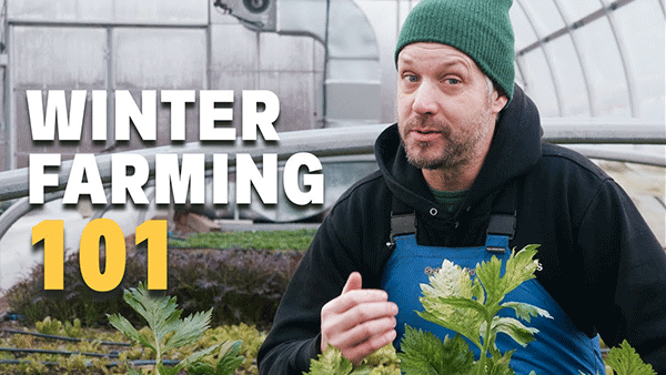 Winter Harvest - Encourage Winter Agriculture | Picbois Productions